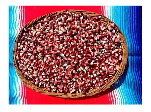 1 kg. semilla de maiz colorado